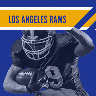 VIP Packages and NFL Tickets | PremiumSeatsUSA.com