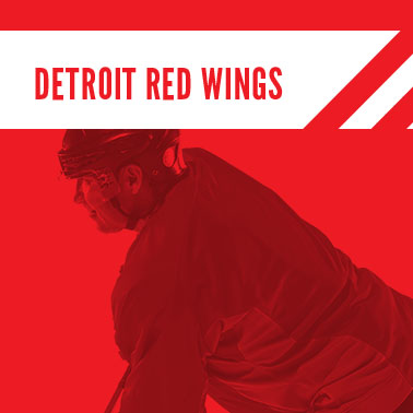 VIP Packages for Detroit Red Wings tickets | Professional (NHL ...