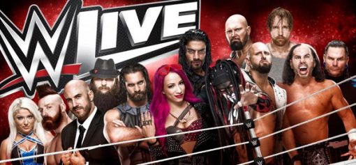 WWE Wrestling VIP Packages | Premium Seats USA